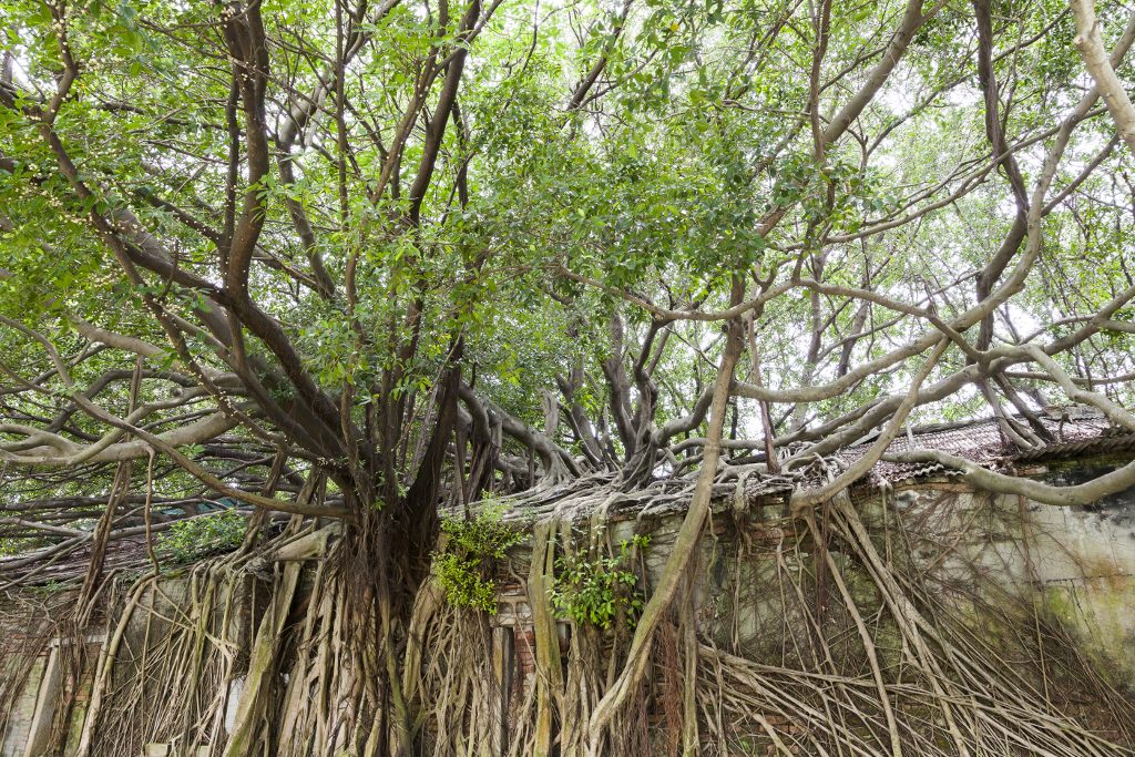 0ðSWSofÞž 0‰[s^9jK\